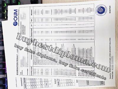Smart Way To Get Fake Open University Malaysia Transcript In Malaysia