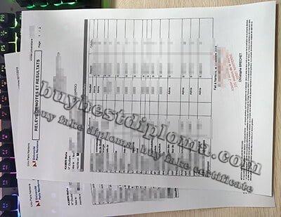 How A Université Paris Nanterre Transcript Looks Like