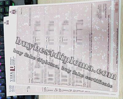 Important Tactics To Get A Fake York University Transcript In Canada