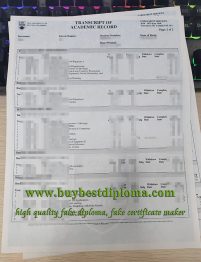 Questions About Fake University of British Columbia(UBC) Transcript