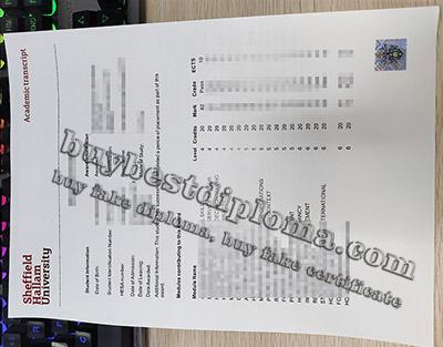 How to Make A Fake Sheffield Hallam University Transcript Looks Realistic