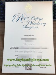 How A Royal College of Veterinary Surgeons(RCVS) Certificate Looks