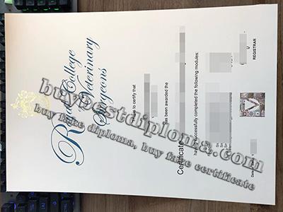 How A Royal College of Veterinary Surgeons(RCVS) Certificate Looks