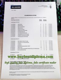Interesting Method to Make A KU Leuven Transcript, Buy Belgium Diploma