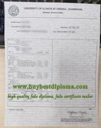 Can I Apply for Further Study with A Fake UIUC Transcript