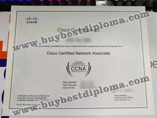 The Experts’ Guide to Get Cisco Certified Network Associate Certificate