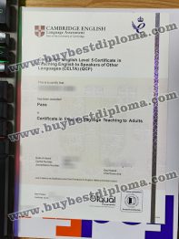 Myths About Making A Fake CELTA Certificate