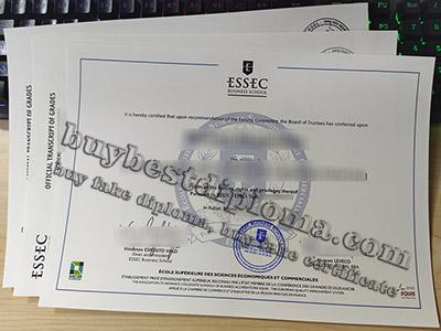 Amazing Secrets of Making ESSEC Business School Diploma