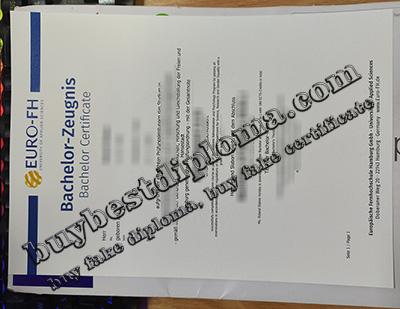 Easy Methods to Obtain Euro-FH Transcript in 10 Days