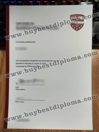Where to get fake PSB Academy diploma in Singapore