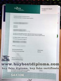 Most Efficient Techniques to Make Fake Saxion University Degree