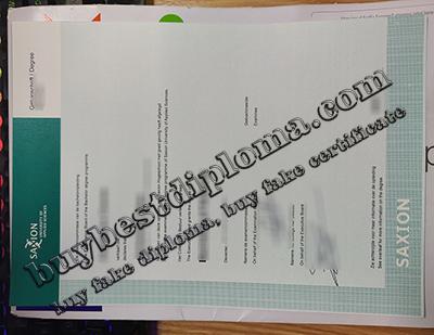 Top Suppliers to Order A Saxion University of Applied Sciences Diploma